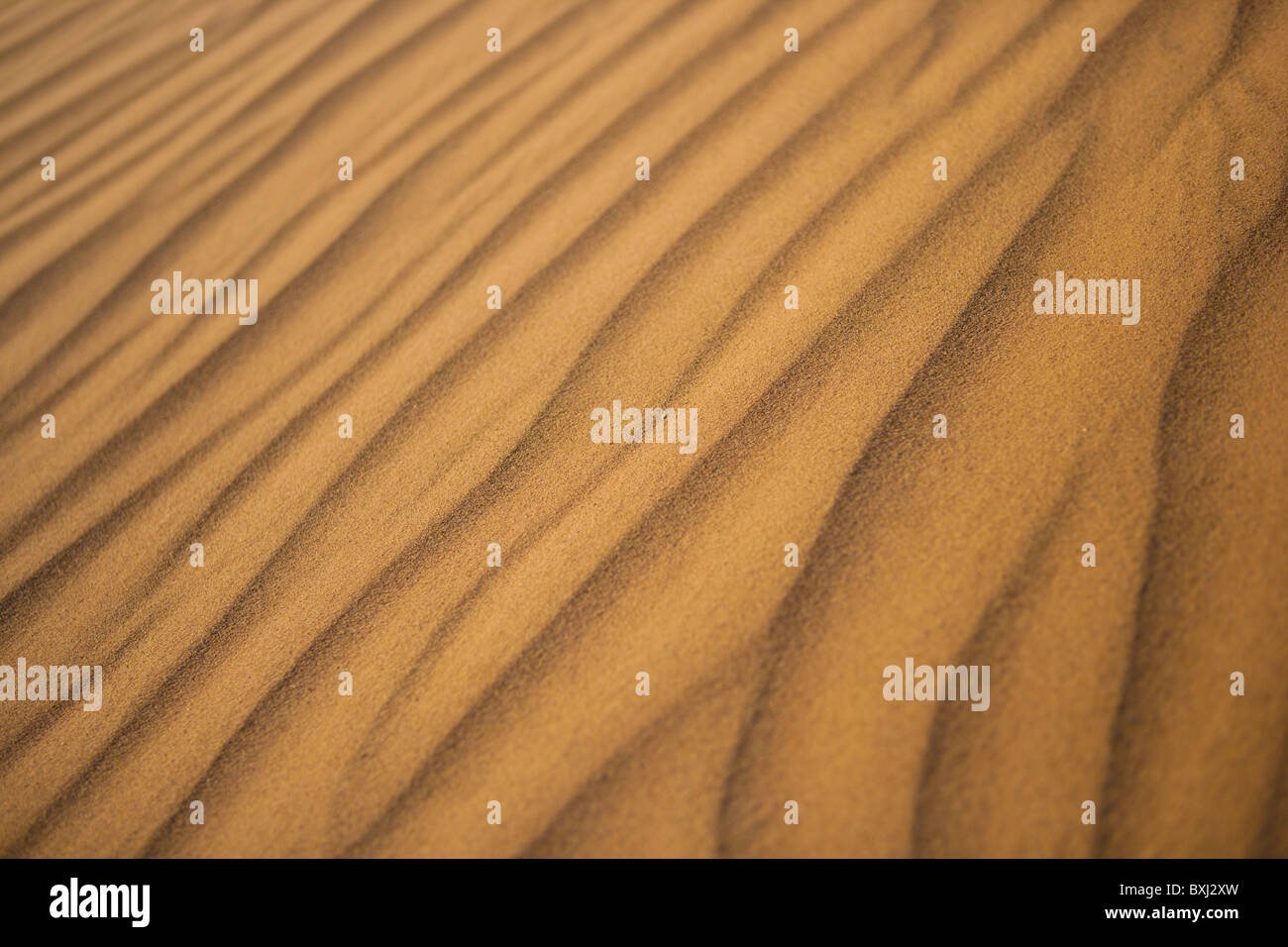 La texture des Ergs (dunes de sable) dans la région de Sahara causés ...