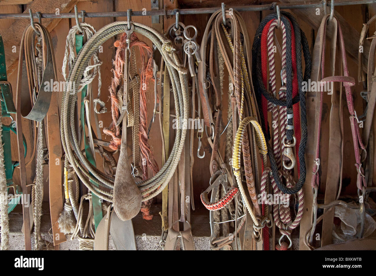 Yoder, Colorado - La grange tack sur le ranch de bétail Yves Tinard ...