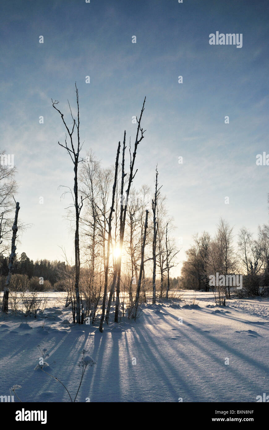 Hiver froid Banque de photographies et d’images à haute résolution - Alamy