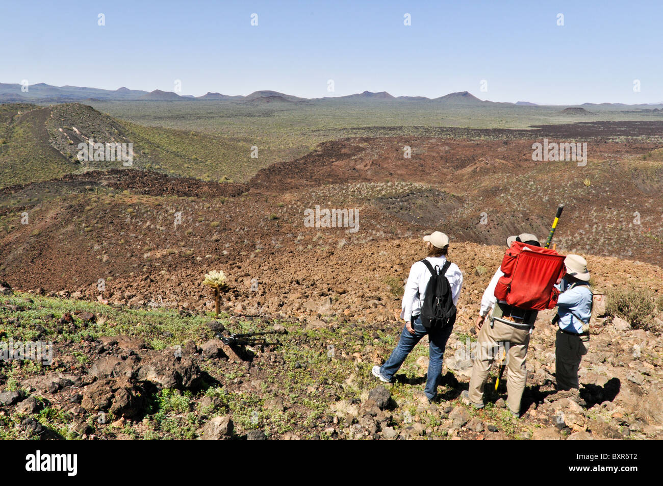 Pics de pinacate Banque de photographies et d’images à haute résolution ...