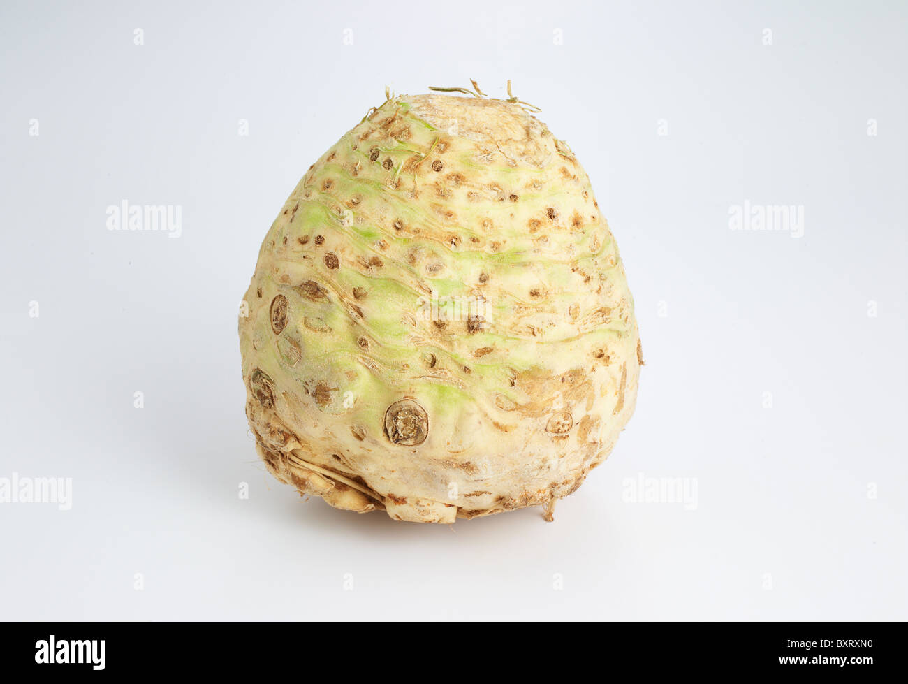 Les céleri raves Banque de photographies et d’images à haute résolution ...