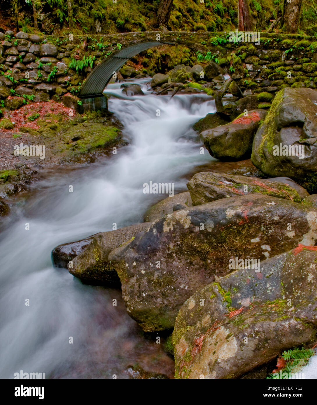 Parc national de multnomah falls Banque de photographies et d’images à ...