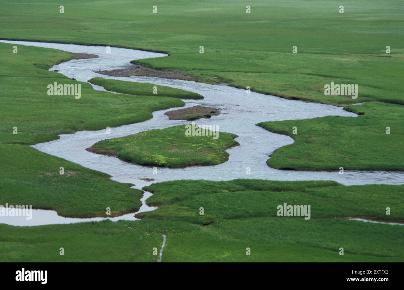 Ruisseaux serpentant dans l'herbe verte Banque de photographies et d ...