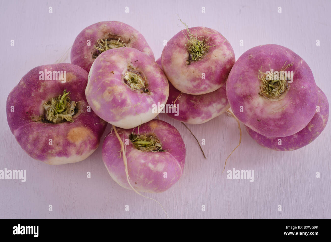 Le navet rose sur la surface rose Photo Stock - Alamy