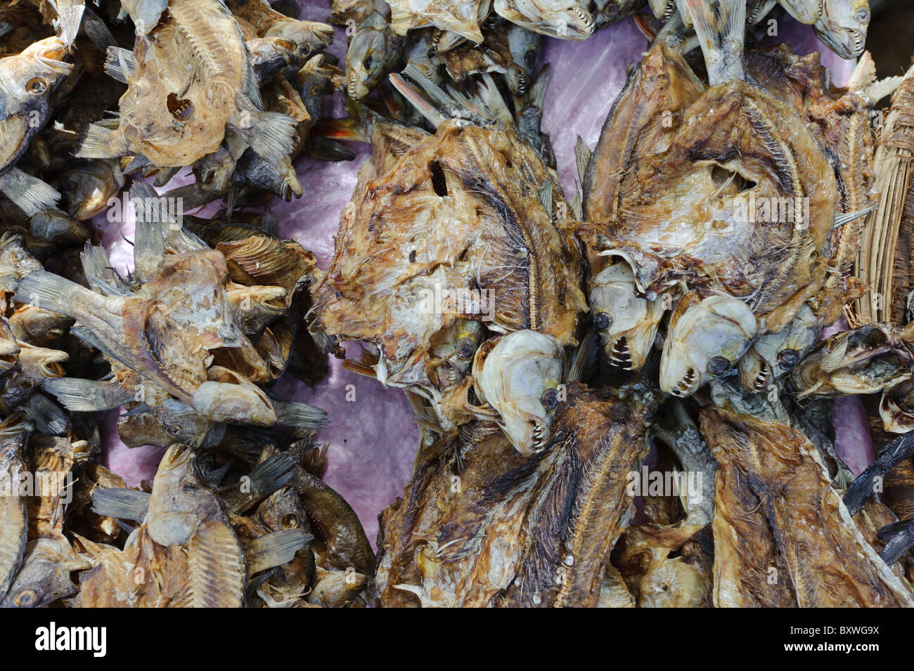 Le poisson séché, vendu dans le port de Mopti, au Mali Photo Stock - Alamy
