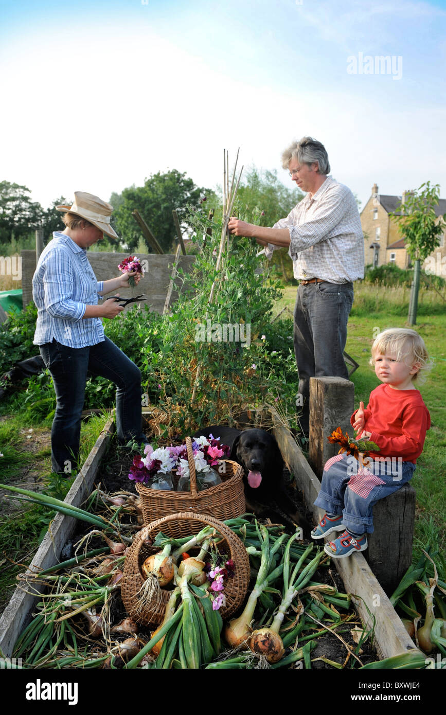 Famille d'oignons Banque de photographies et d’images à haute ...