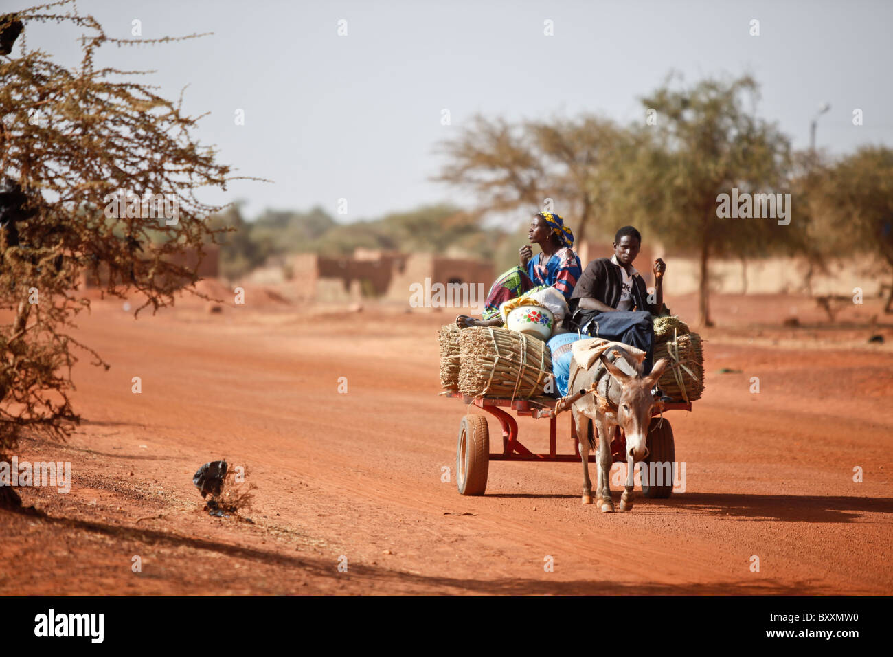 Récolte de mil au burkina faso Banque de photographies et d’images à ...