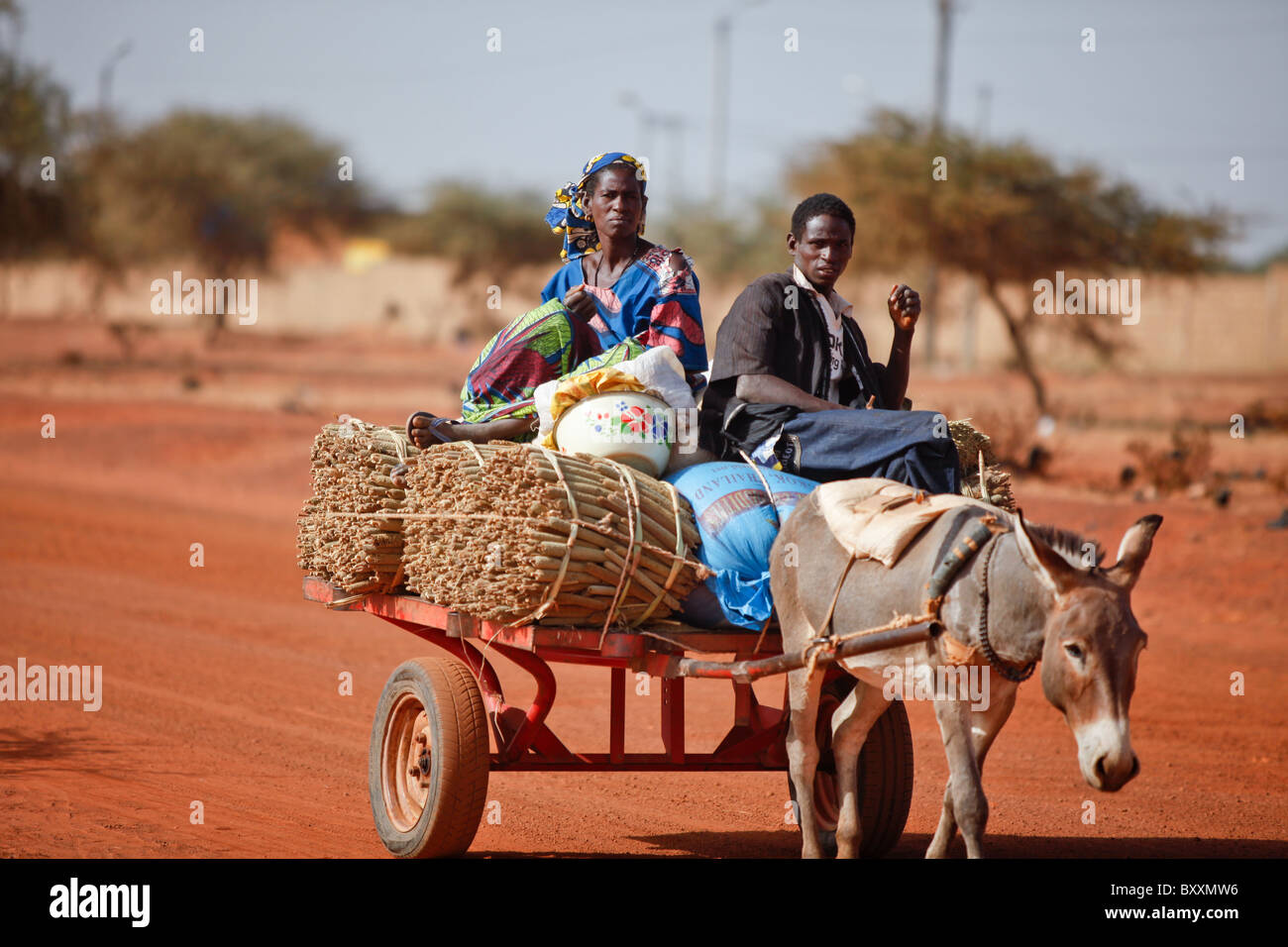 Récolte de mil au burkina faso Banque de photographies et d’images à ...