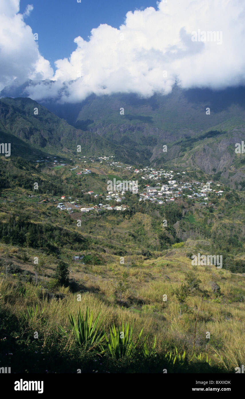 Le palmiste rouge Banque de photographies et d’images à haute ...
