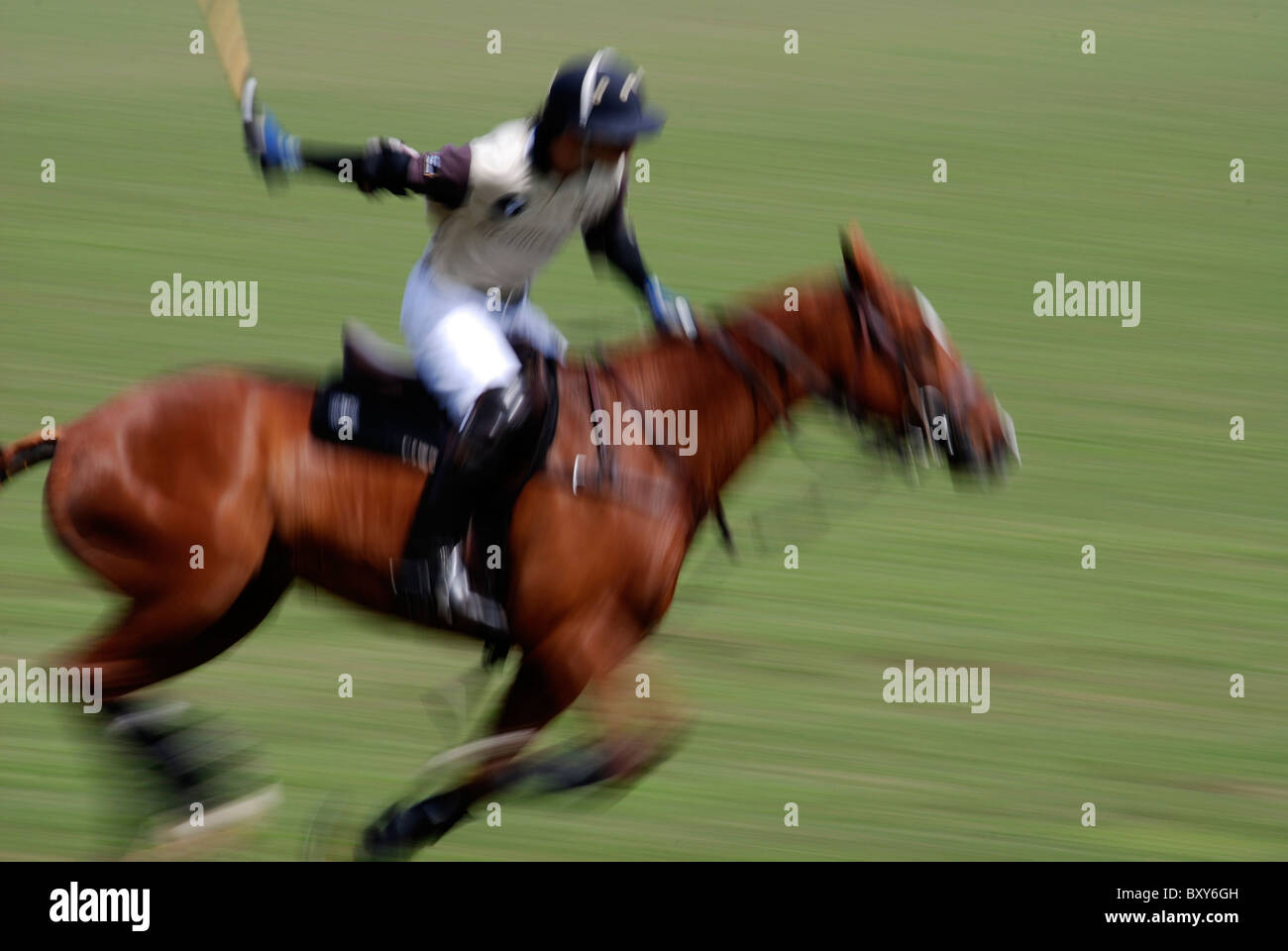 Joueuse de polo Banque de photographies et d’images à haute résolution ...