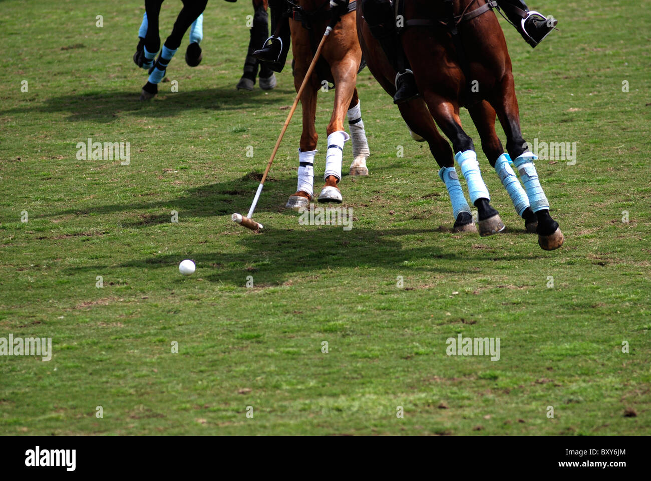 Polo game Banque de photographies et d’images à haute résolution - Alamy