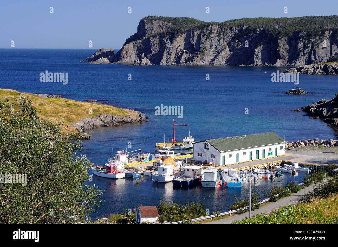 Brigus sud Banque de photographies et d’images à haute résolution - Alamy