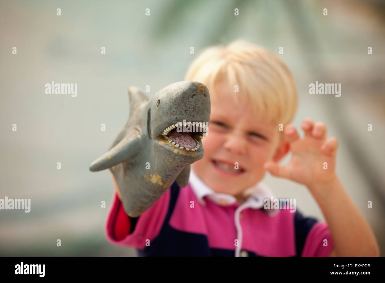 Requin rose Banque de photographies et d’images à haute résolution - Alamy