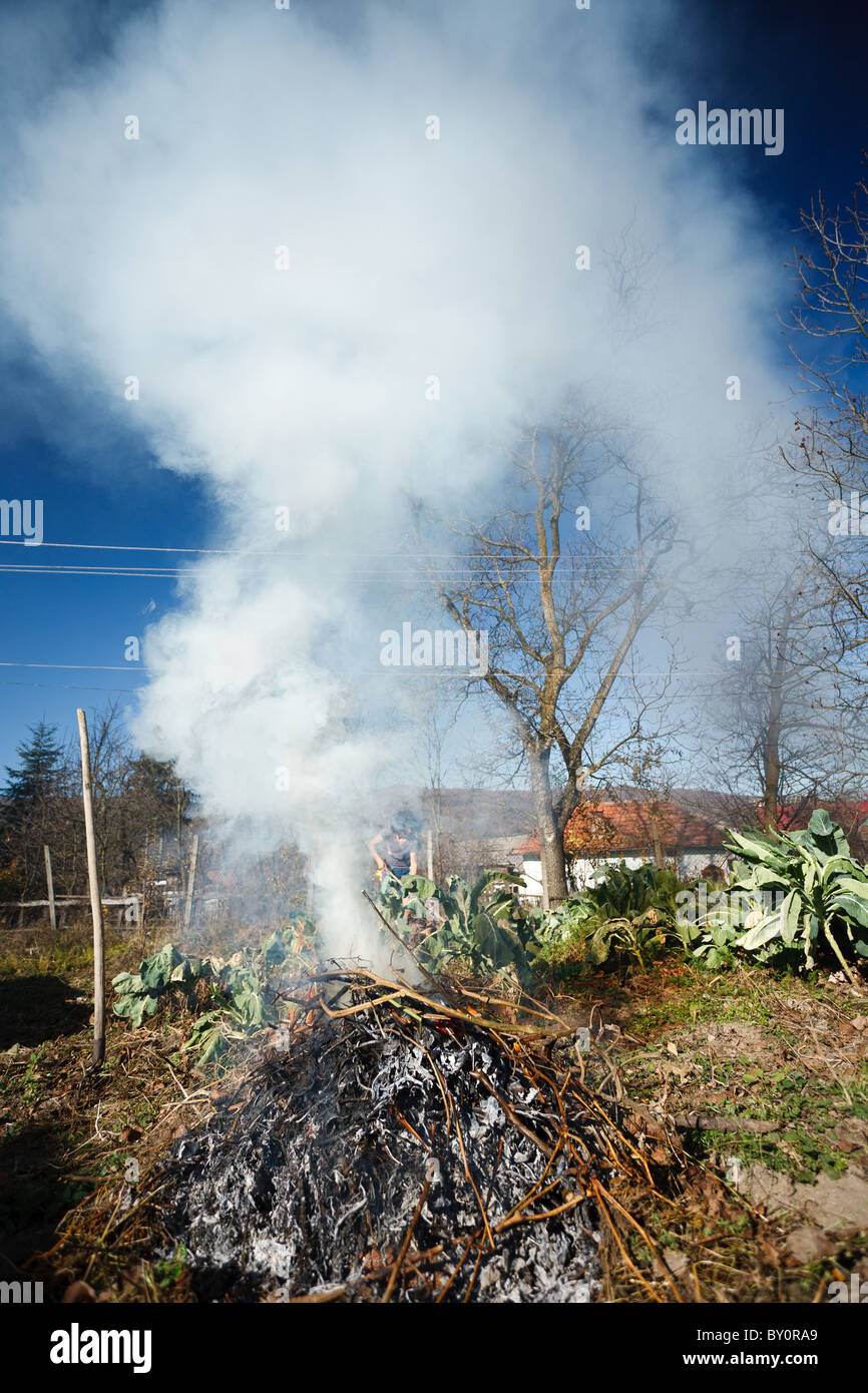 Brûler les feuilles tombées dans un jardin de campagne, à l'automne ou ...