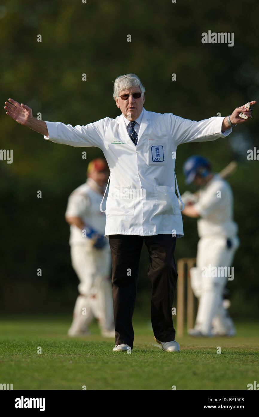 Cricket umpires Banque de photographies et d’images à haute résolution ...