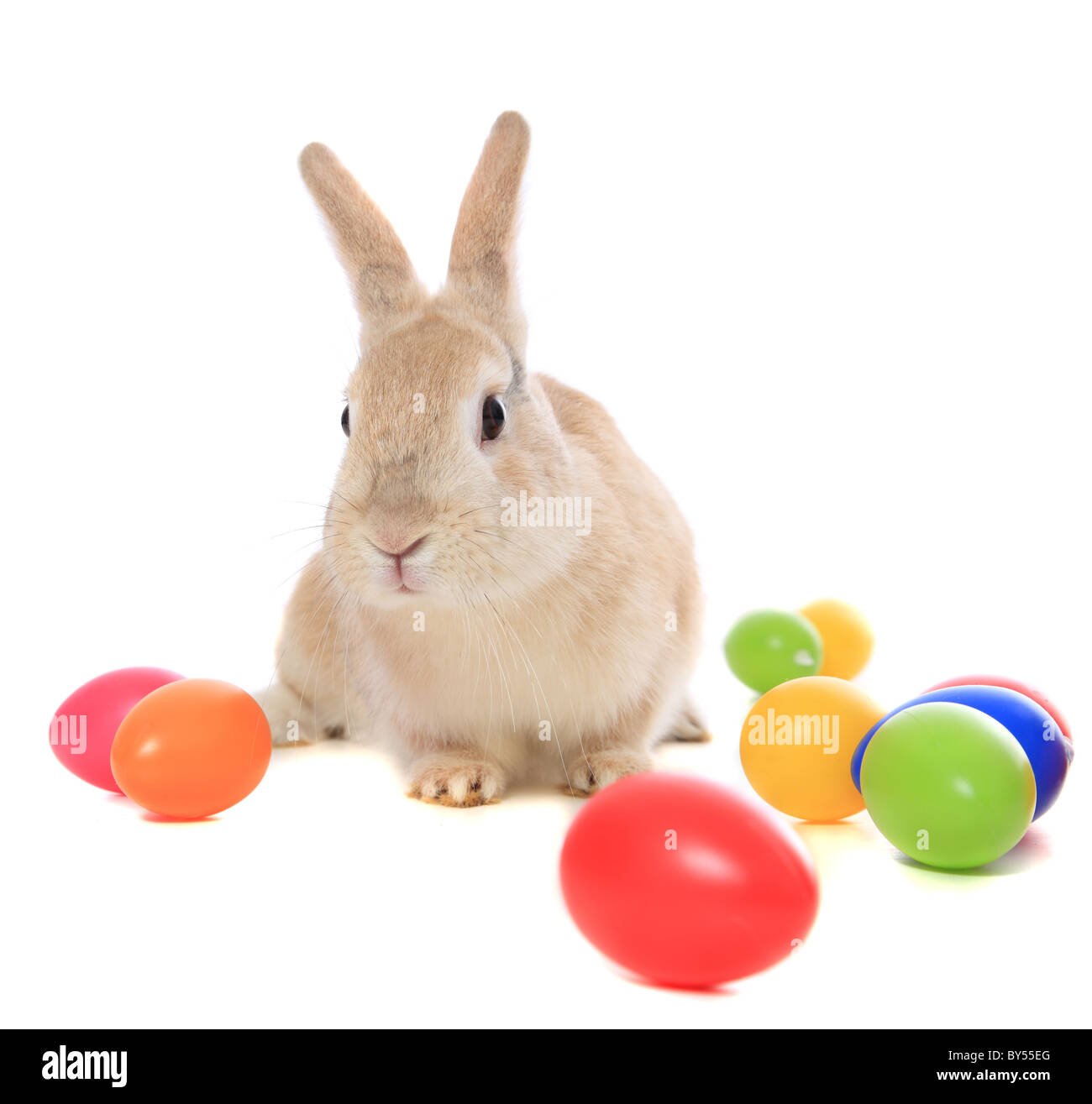 Leyenda el conejo blanco Banque d'images détourées - Alamy