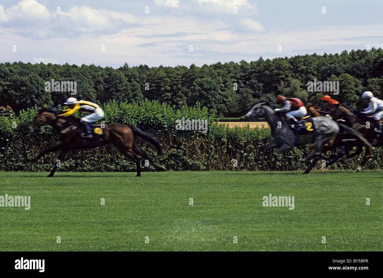Courses hippique Banque de photographies et d’images à haute résolution ...