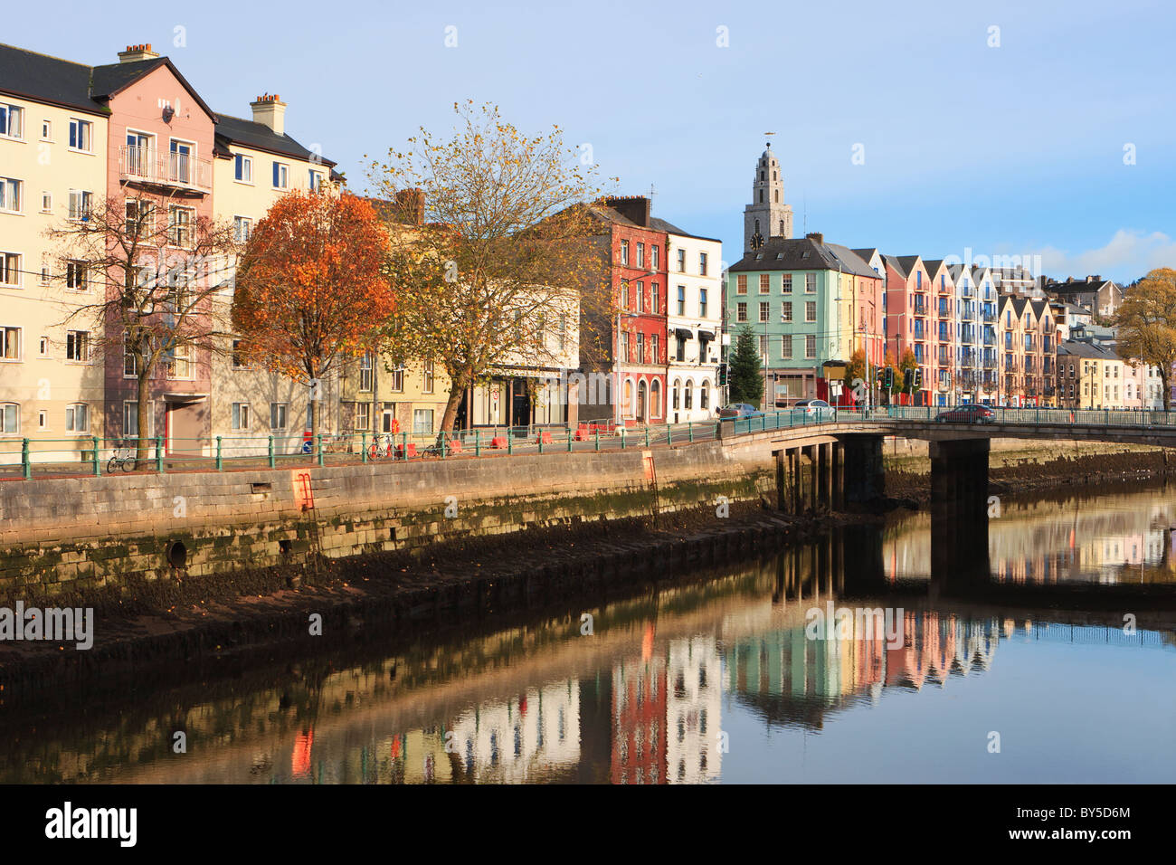 Cork tree sky view Banque de photographies et d’images à haute ...