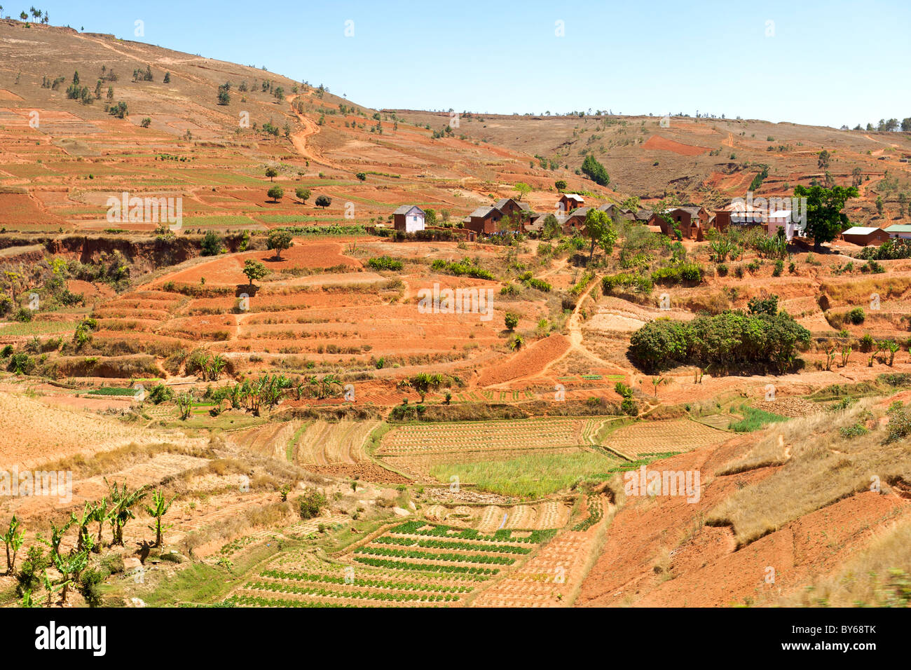 Paysage de rizière madagascar Banque de photographies et d’images à ...