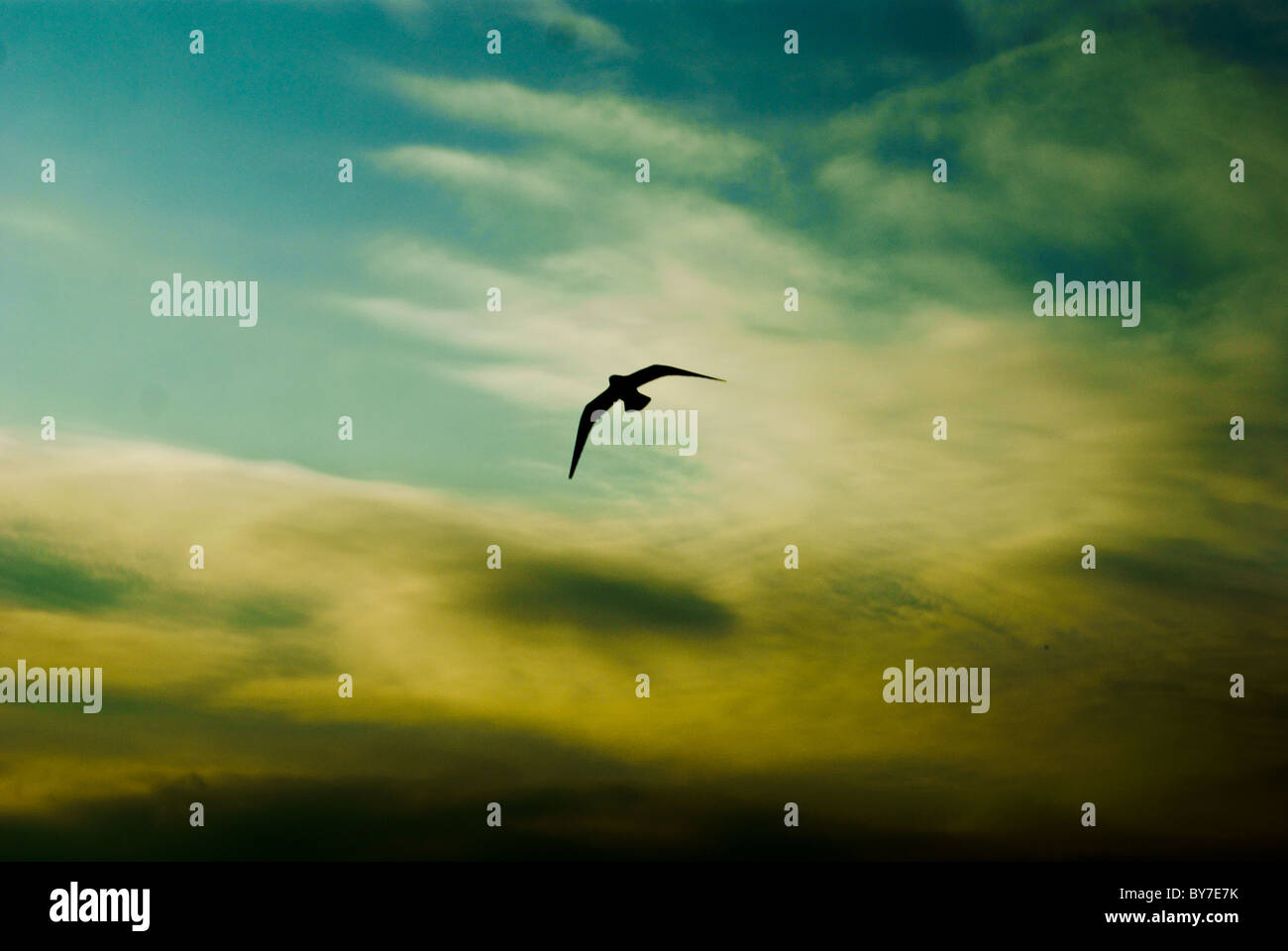 La liberté Banque de photographies et d’images à haute résolution - Alamy