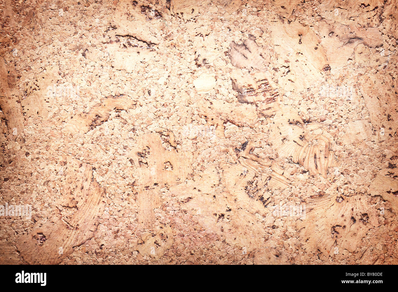 Liège Naturel Banque d'image et photos - Alamy