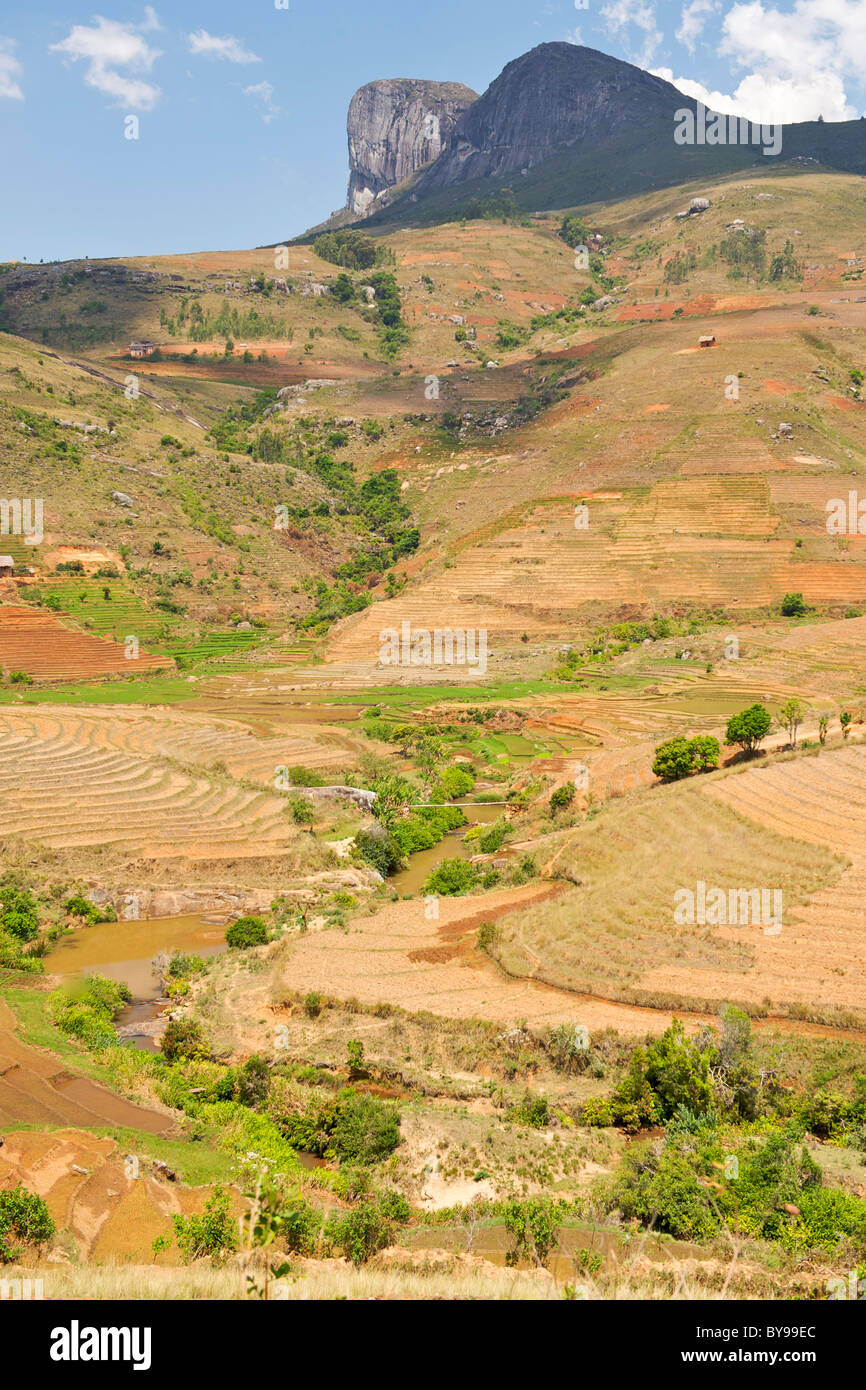 Paysage de rizière madagascar Banque de photographies et d’images à ...