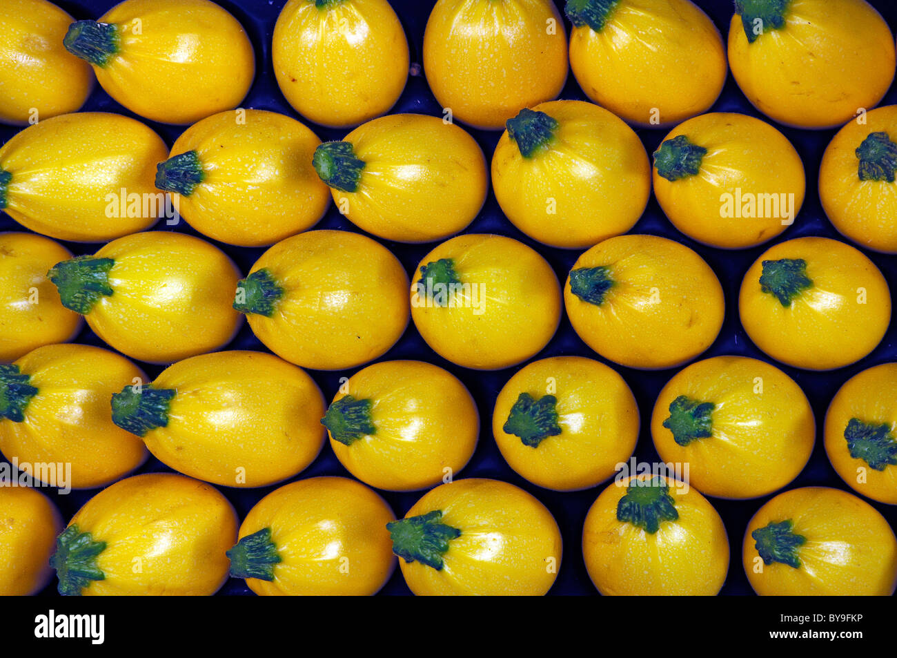 Courgette ronde, jaune (Cucurbita pepo), triés Photo Stock - Alamy