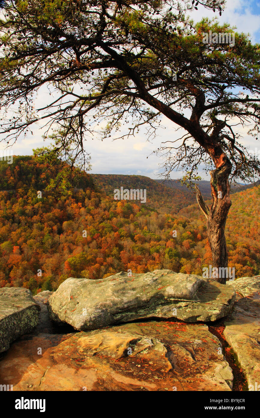 Buzzards Roost, Gorge Scenic Drive, Fall Creek Falls State Resort Park ...
