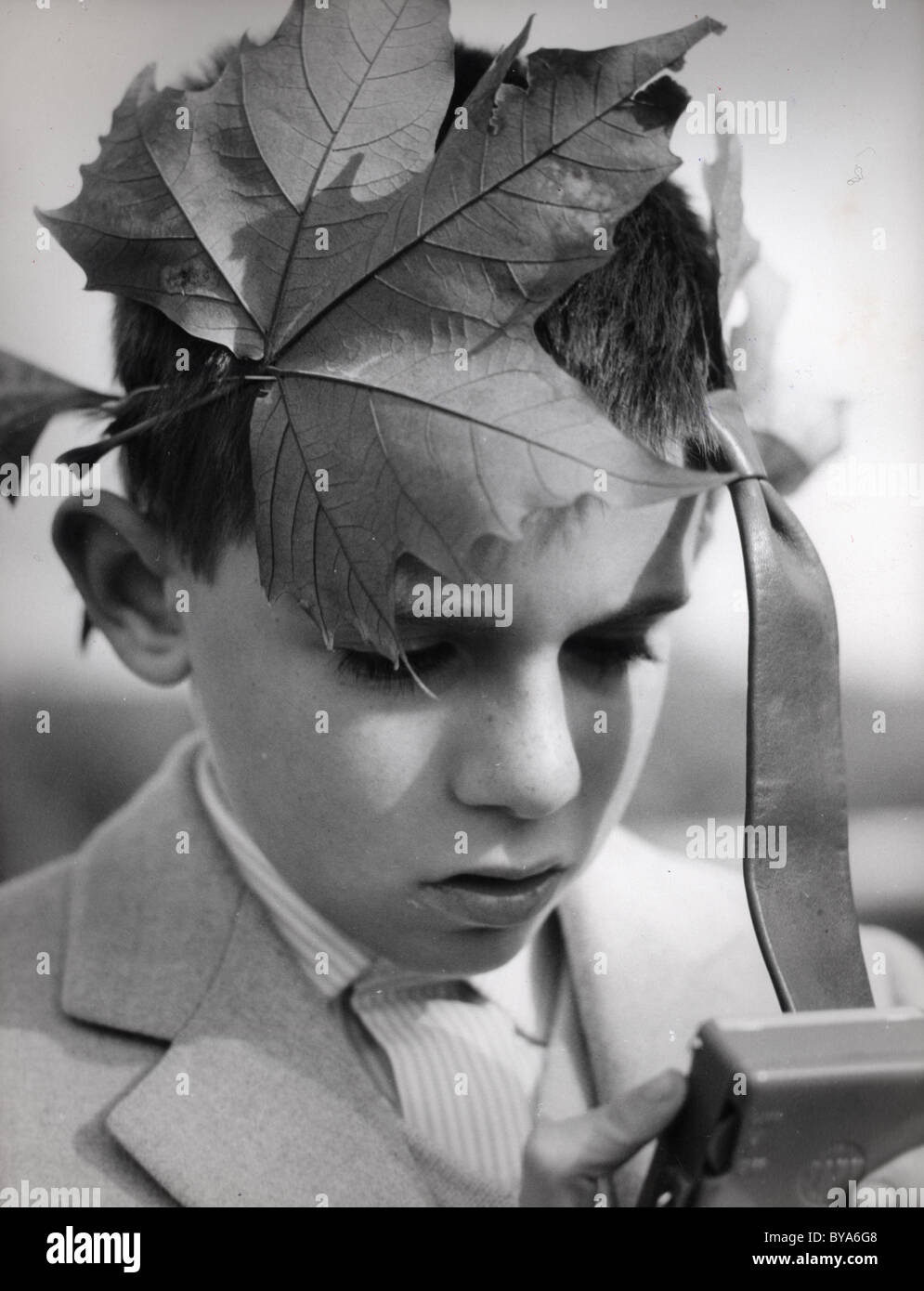 Il pollo ruspante Banque de photographies et d’images à haute ...