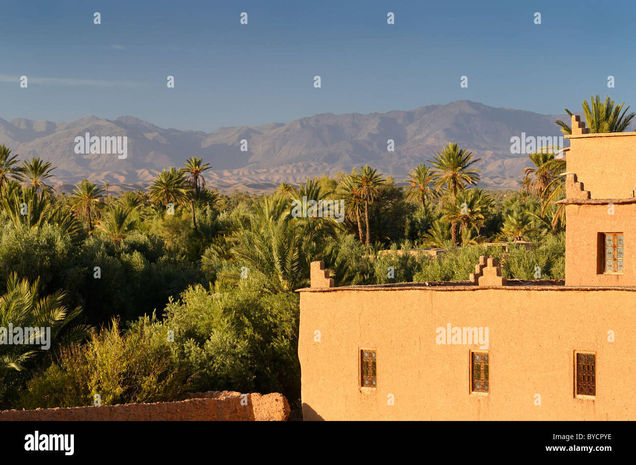 Vue de montagnes du haut atlas et l'oasis de skoura palmier Kasbah Ait ...