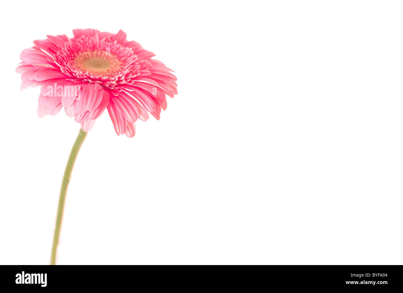 Mère isolée Banque de photographies et d’images à haute résolution - Alamy