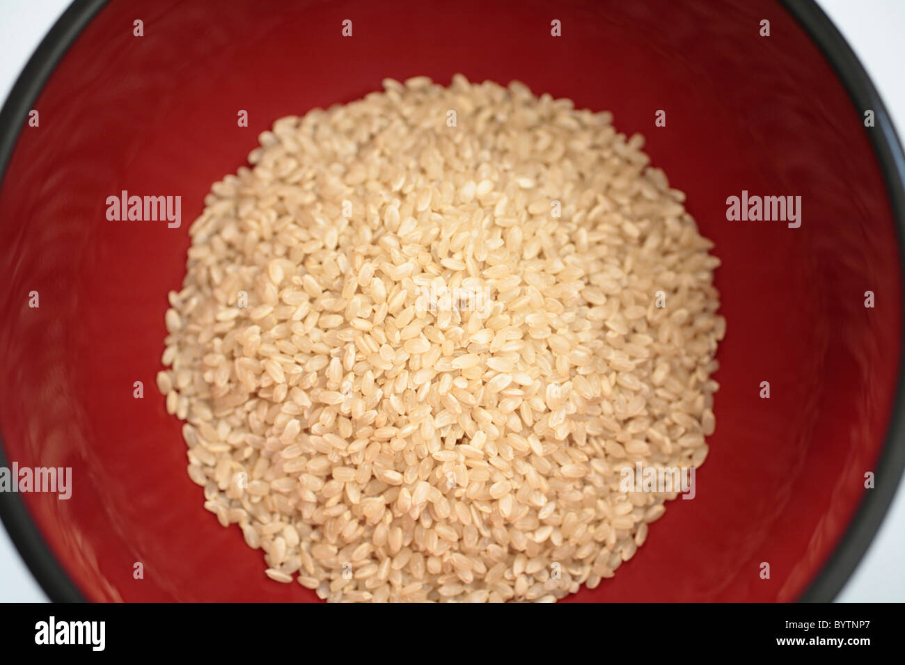 Riz à grain court Banque de photographies et d’images à haute ...