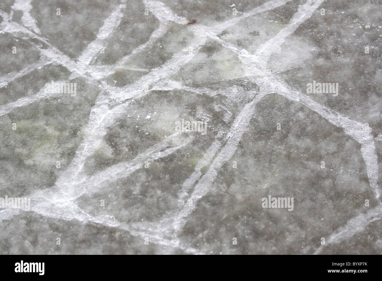 Fen skating Banque de photographies et d’images à haute résolution - Alamy