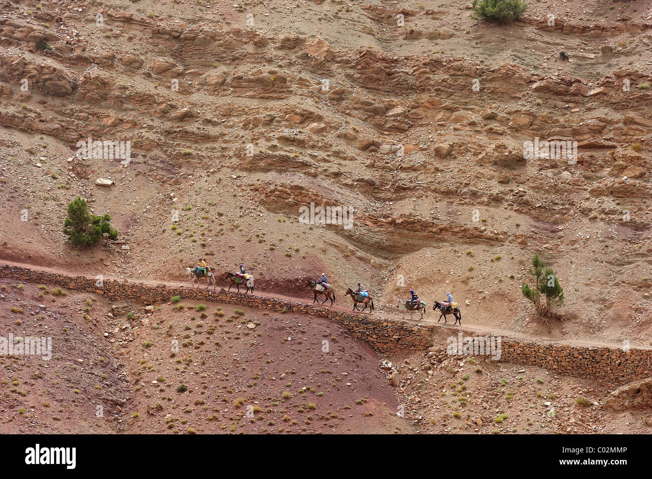 Dans les hautes montagnes de l'atlas Banque de photographies et d ...