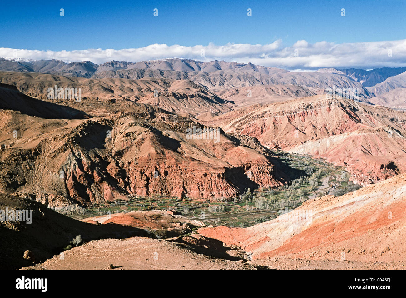 Morocco high atlas valley roses Banque de photographies et d’images à ...
