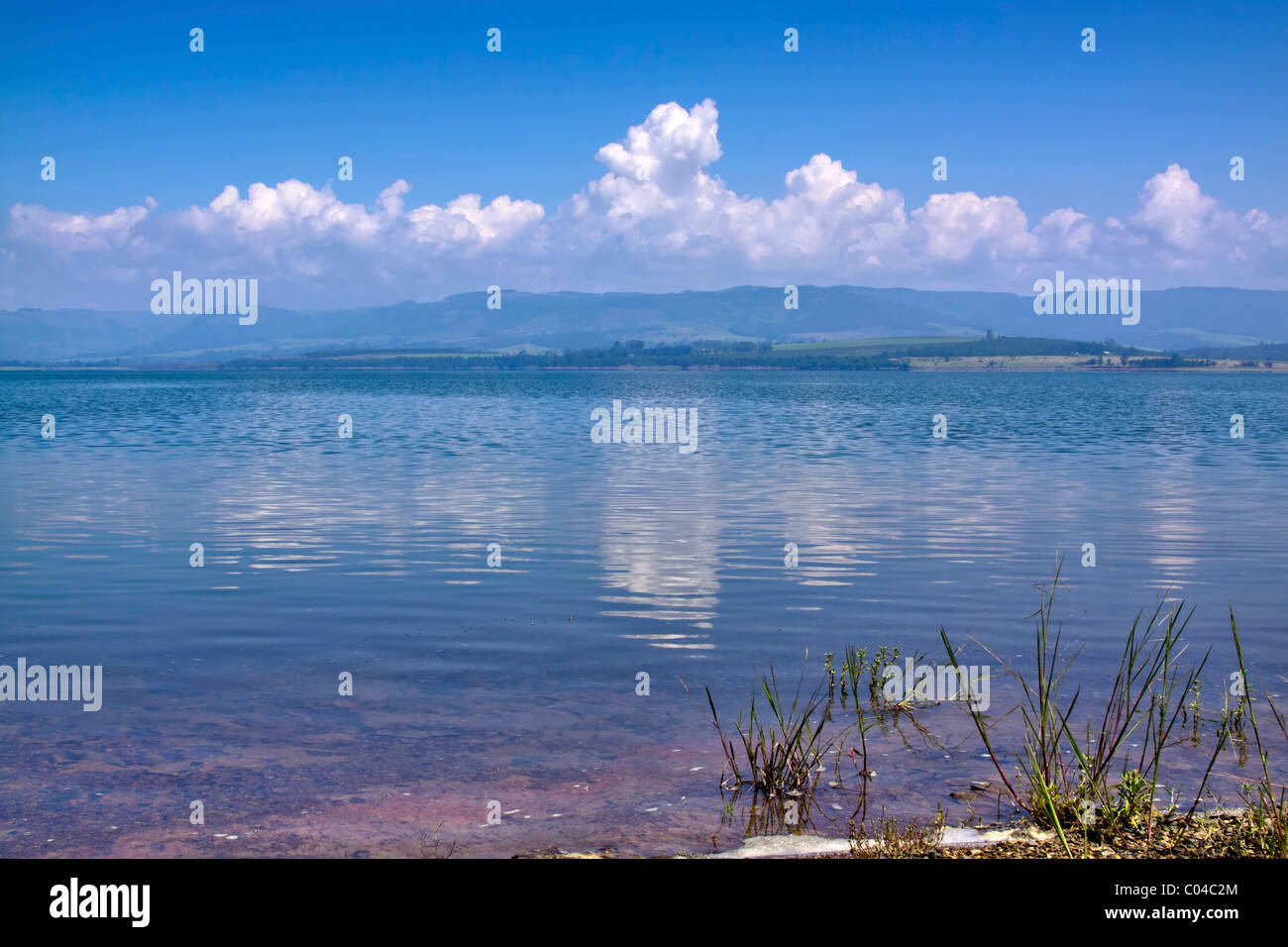 Lake albert Banque de photographies et d’images à haute résolution - Alamy