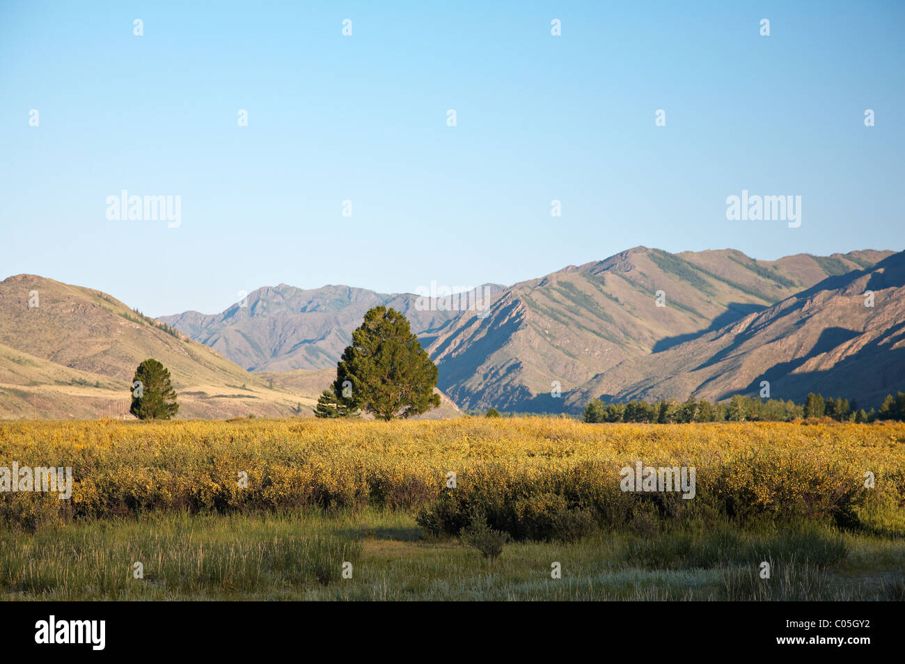Monts sayan Banque de photographies et d’images à haute résolution - Alamy