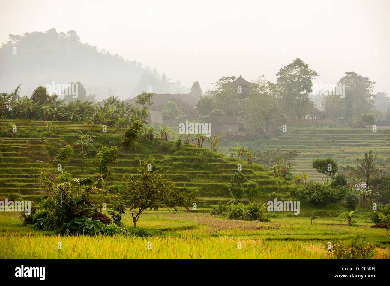 Le Sideman valley dans l'Est de Bali, l'Indonésie est l'une des plus ...