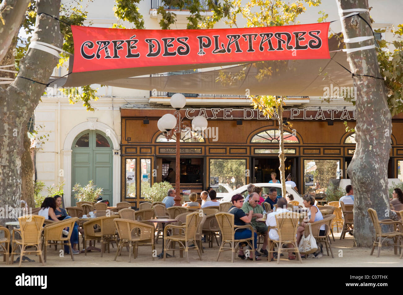 Cafe de platanes, Ile Rousse, Balagne, Corse, France, Europe Photo ...