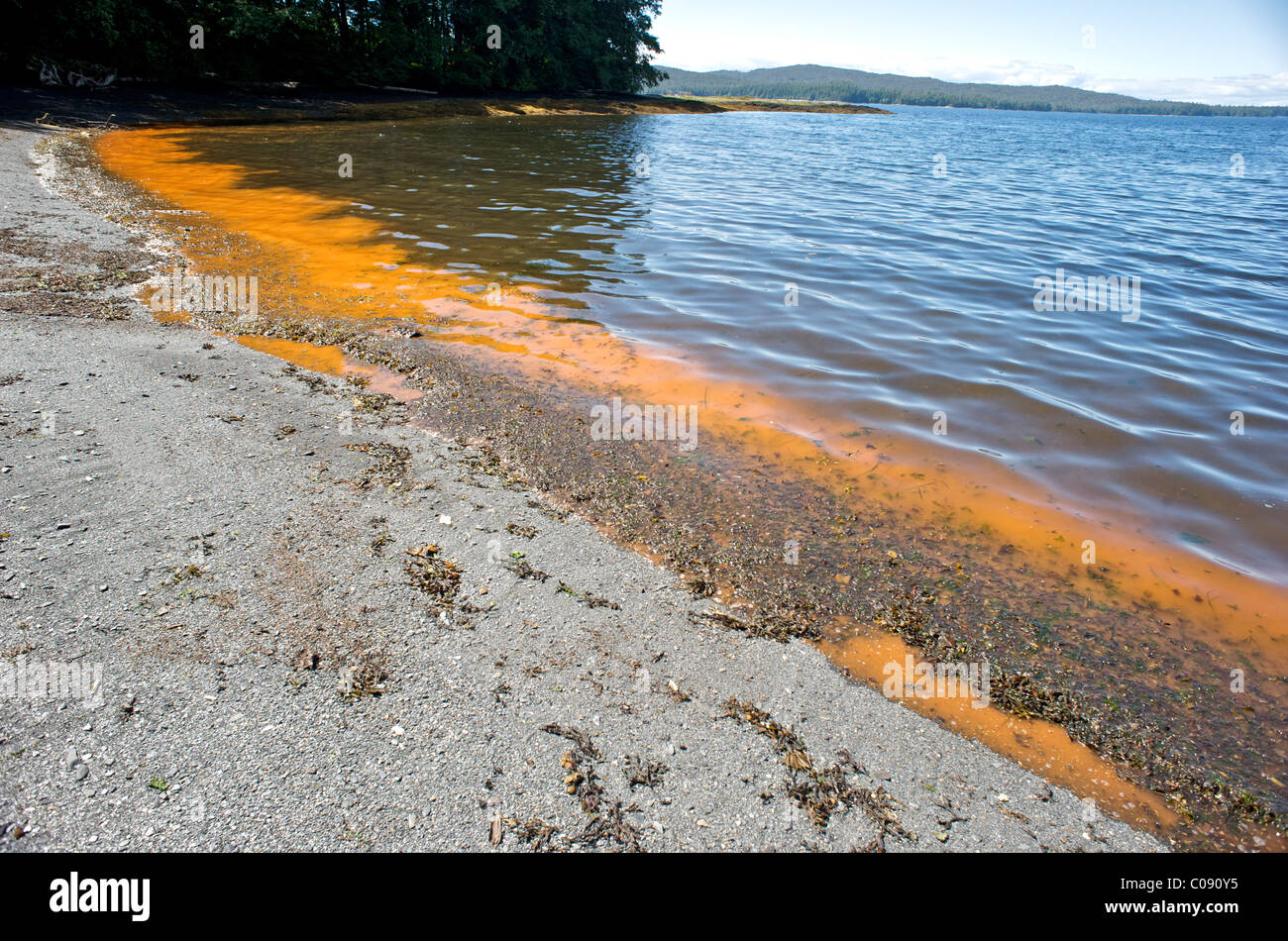 Red tide Banque de photographies et d’images à haute résolution - Alamy