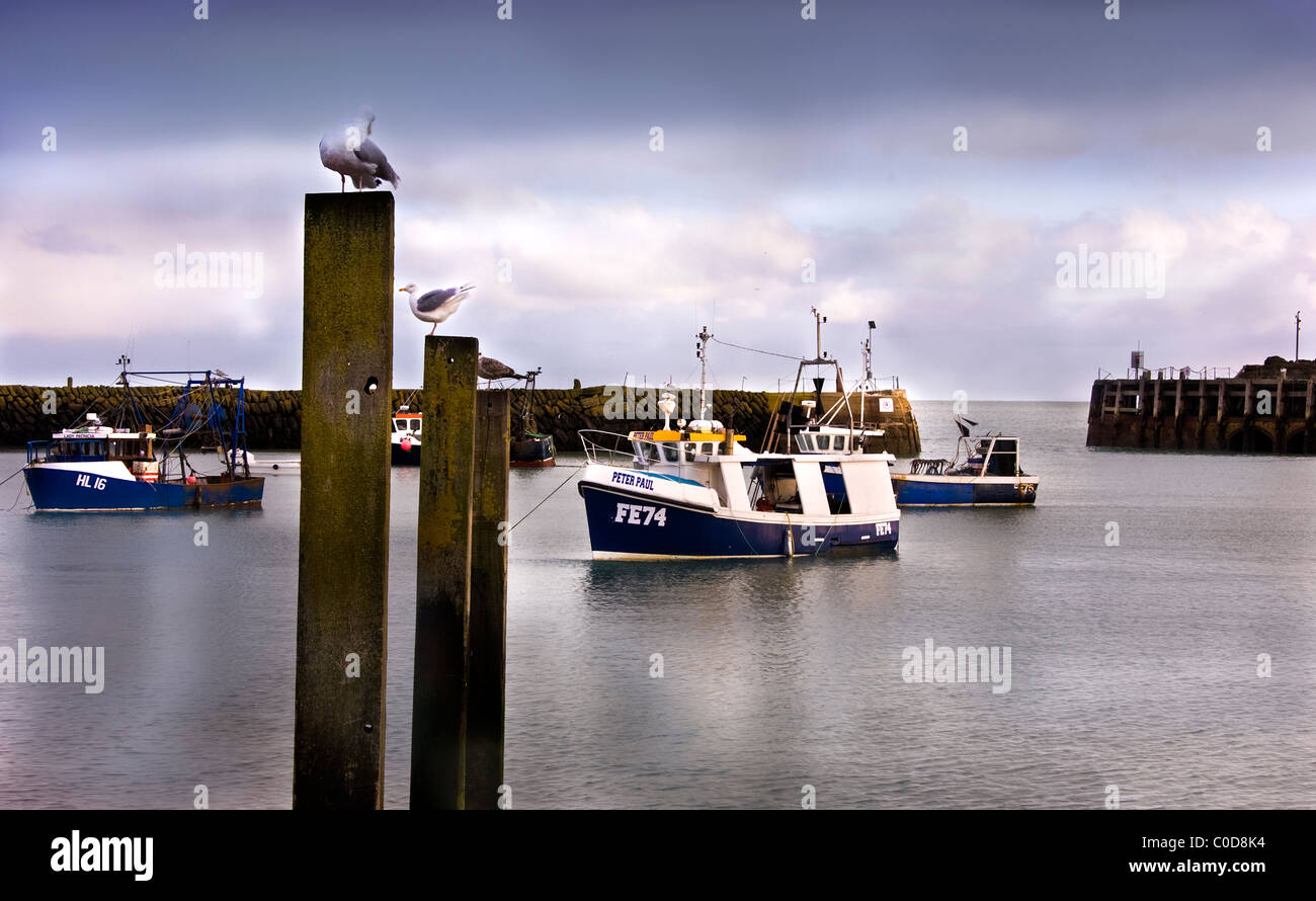 Kent coast landscape Banque de photographies et d’images à haute ...