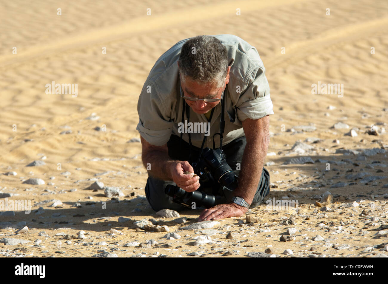 Géologue et paléontologue Ithamar Perath Inspection du terrain dans ...