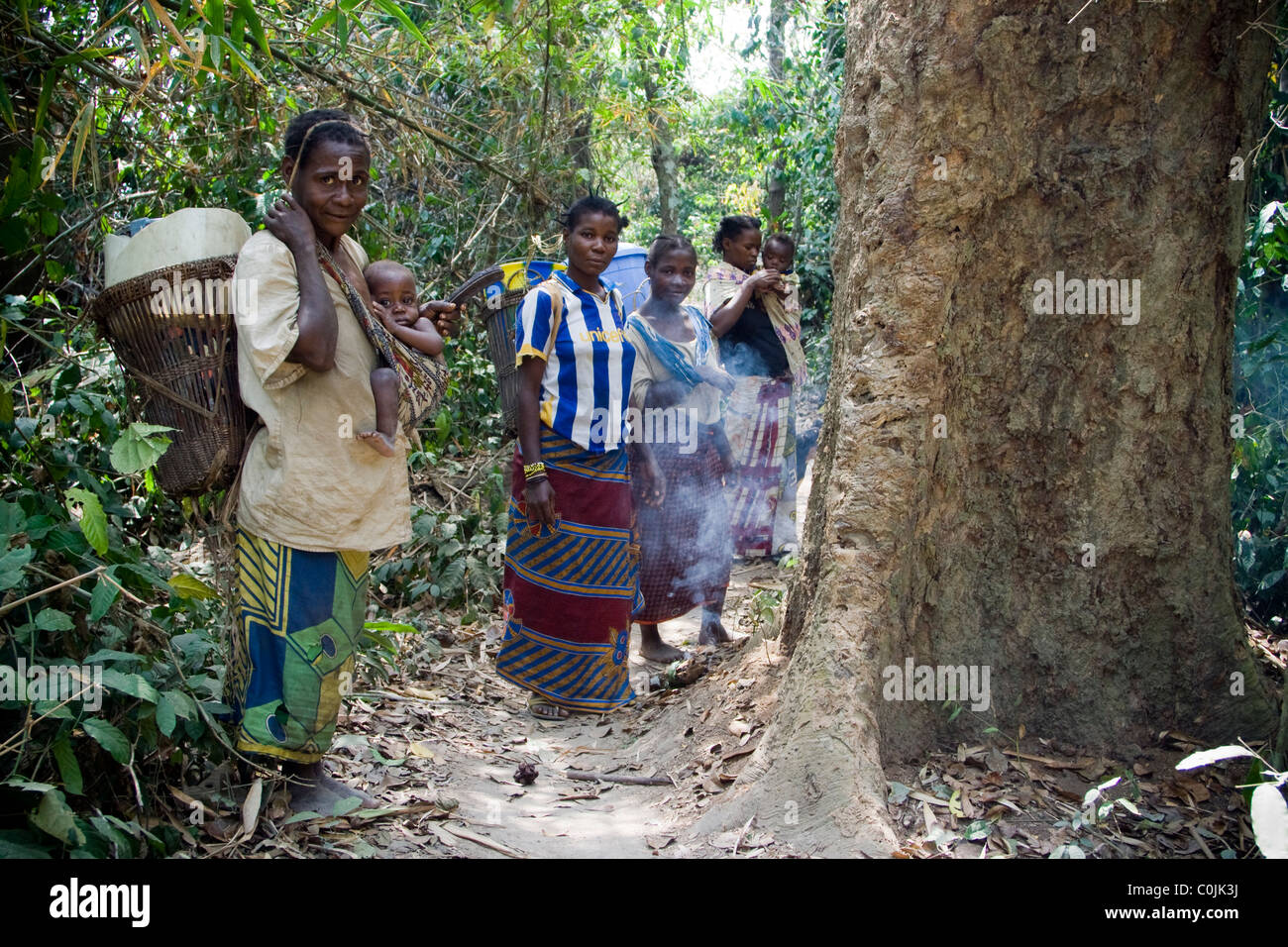 Pygmées de la forêt équatoriale ,Betou, République du Congo Photo Stock ...