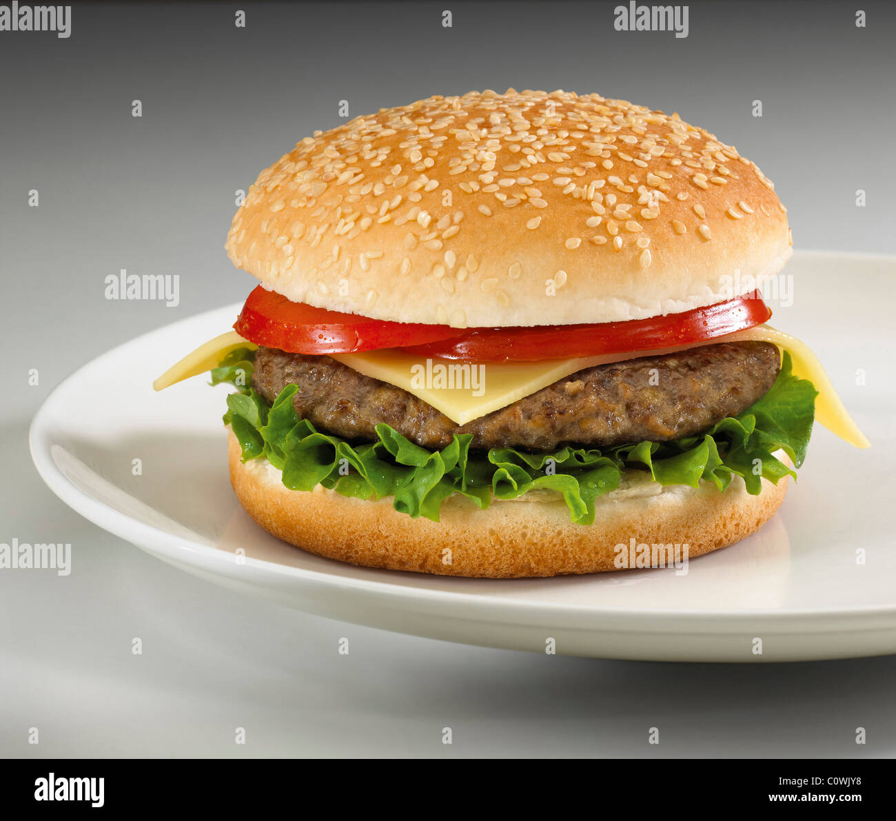 Hamburger sur une assiette Banque de photographies et d’images à haute ...