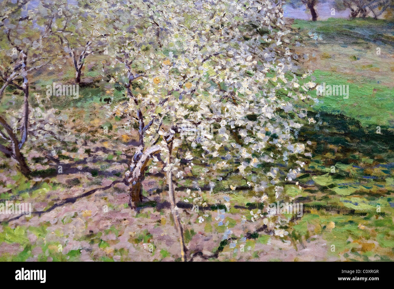 Arbres fruitiers en fleur Banque de photographies et d’images à haute ...