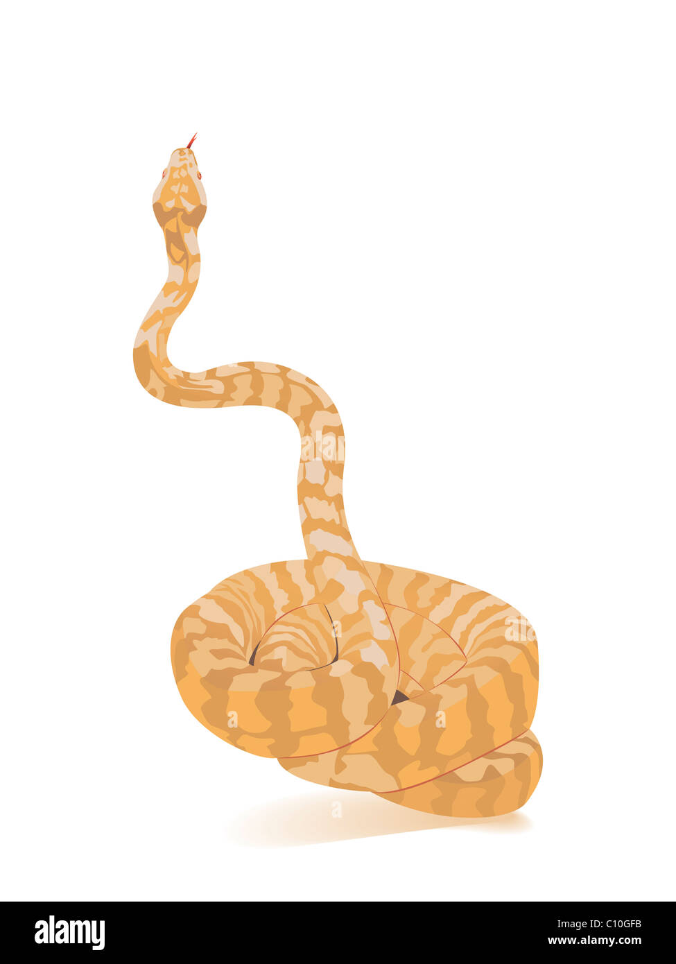 Albino reticulated python Banque de photographies et d’images à haute ...