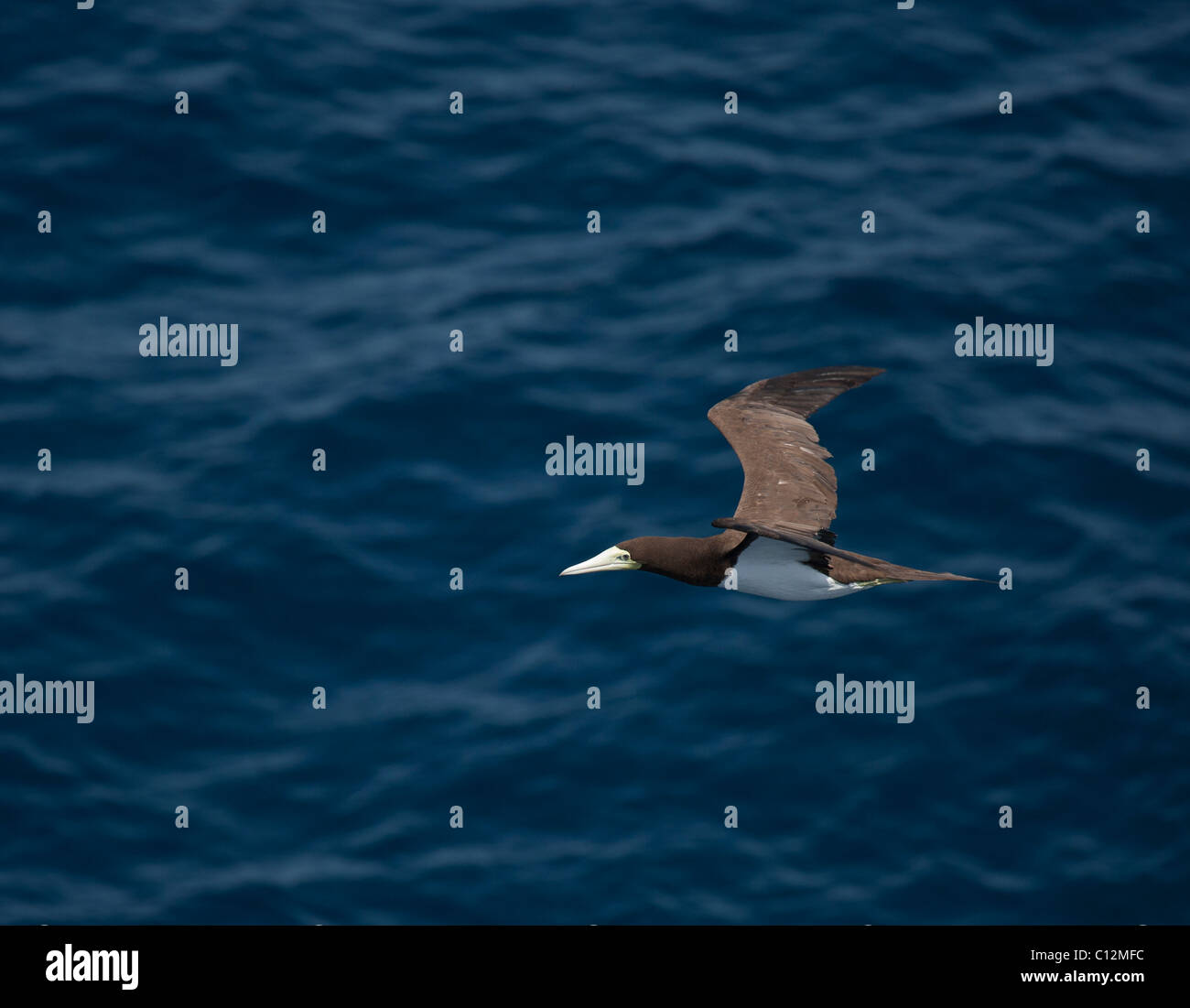 Mer de chine méridionale Banque de photographies et d’images à haute ...