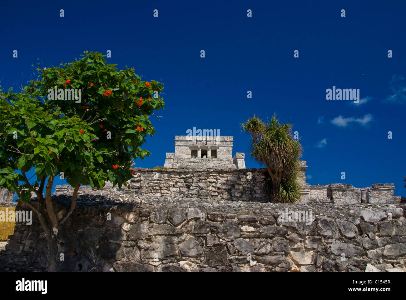 Temple el castillo Banque de photographies et d’images à haute ...