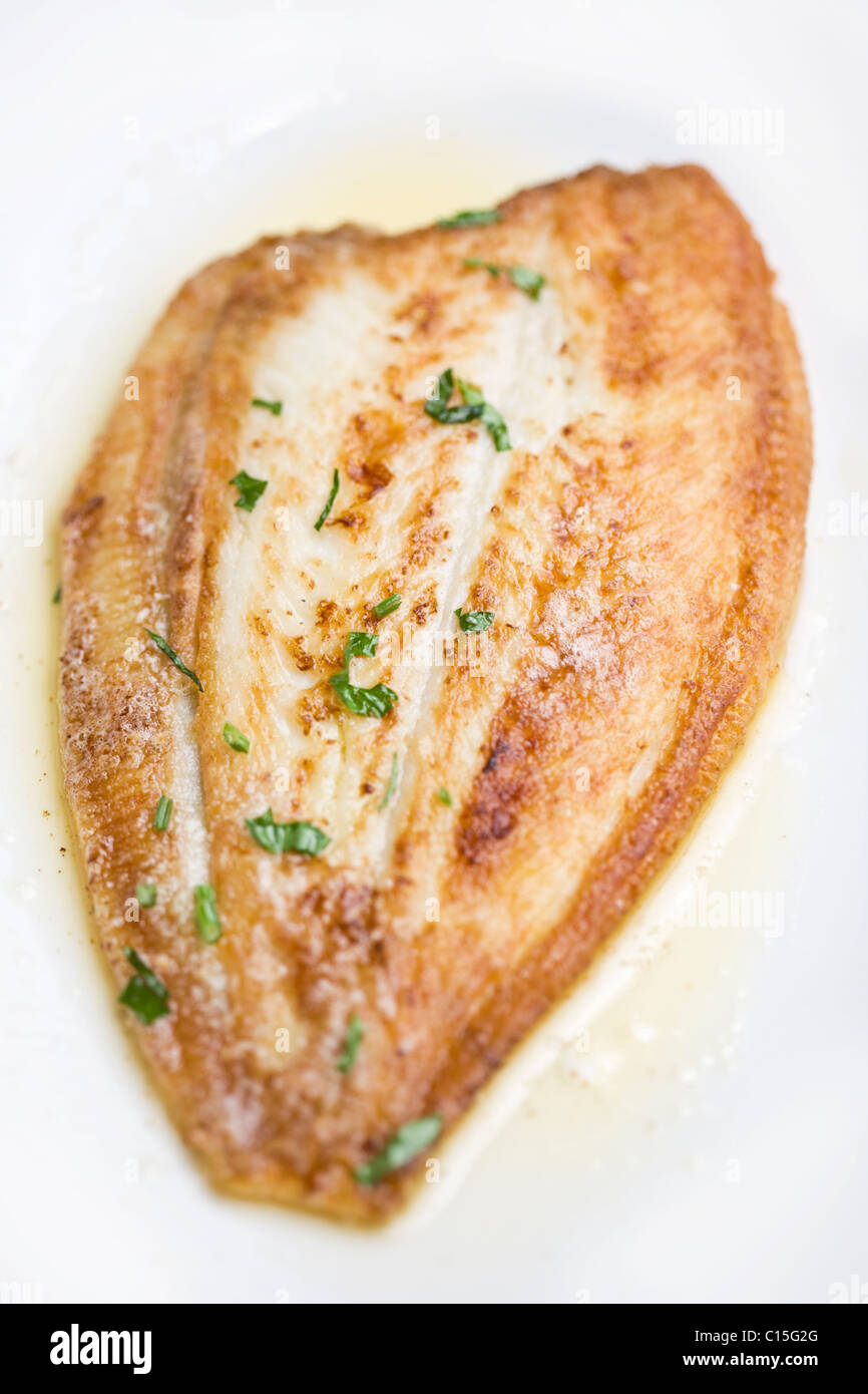 Sole Fish Banque d'image et photos - Alamy