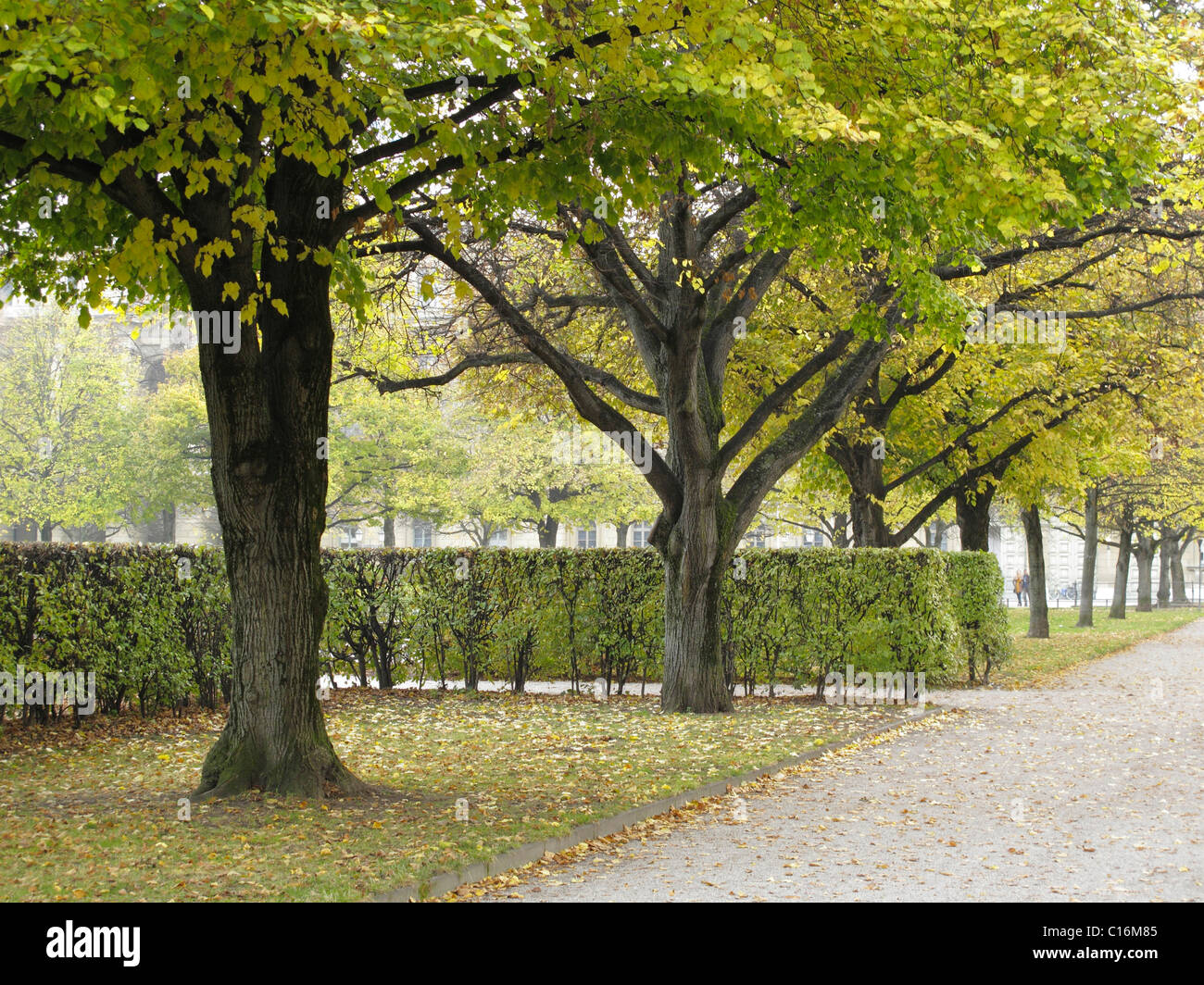 Parc hofgarten Banque de photographies et d’images à haute résolution ...